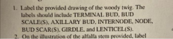 Solved Exercise 5 NAME LAB SECTION NO DATE STEMS Et 1. | Chegg.com