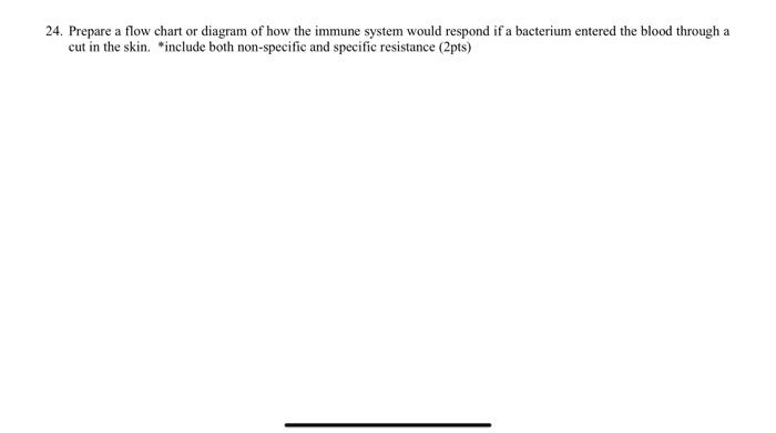 Solved 24 Prepare A Flow Chart Or Diagram Of How The Immune
