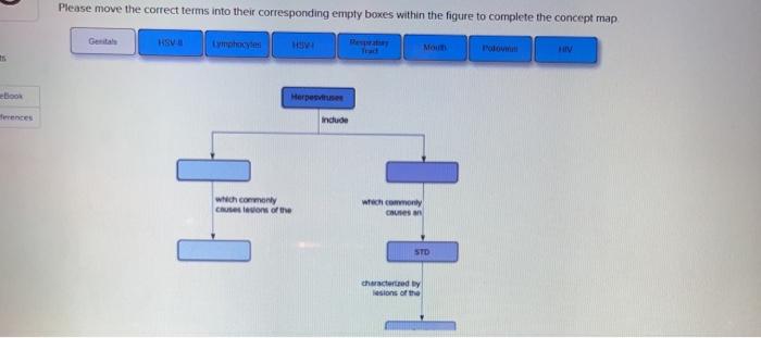 Solved Please move the correct terms into their | Chegg.com