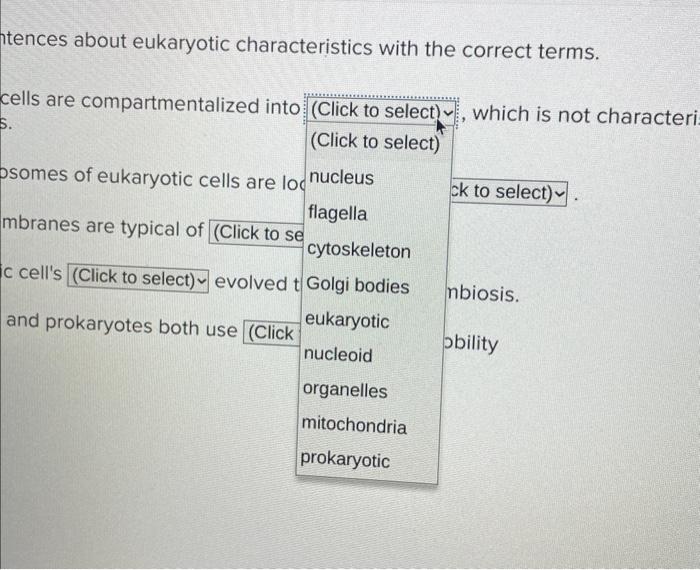 Solved Select all the true statements concerning mitosis. | Chegg.com
