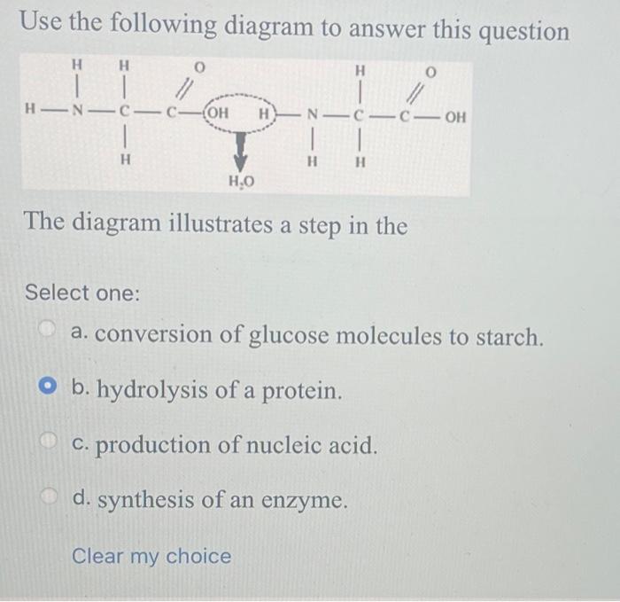 Solved Use the following diagram to answer this question The | Chegg.com