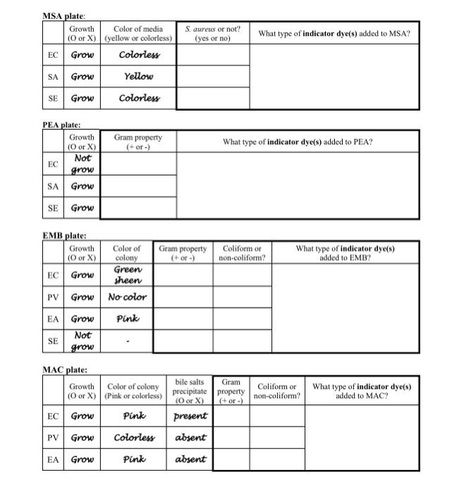 Solved MSA plate: \begin{tabular}{|c|c|c|c|c|} \hline & | Chegg.com