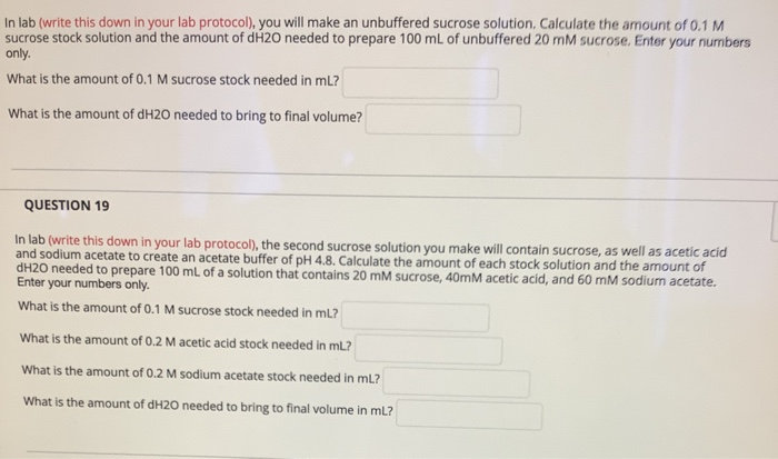 Solved In lab (write this down in your lab protocol), you | Chegg.com
