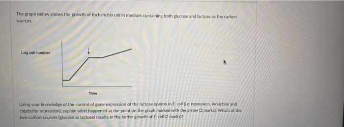Solved The graph below shows the growth of Escherichia coli | Chegg.com