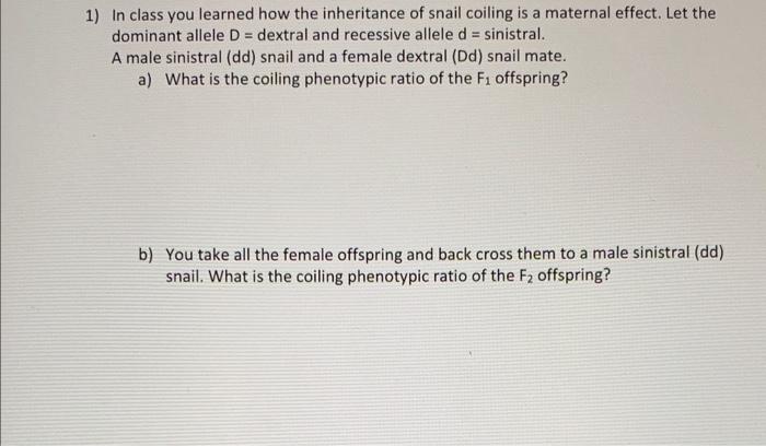 Solved 1) In class you learned how the inheritance of snail | Chegg.com