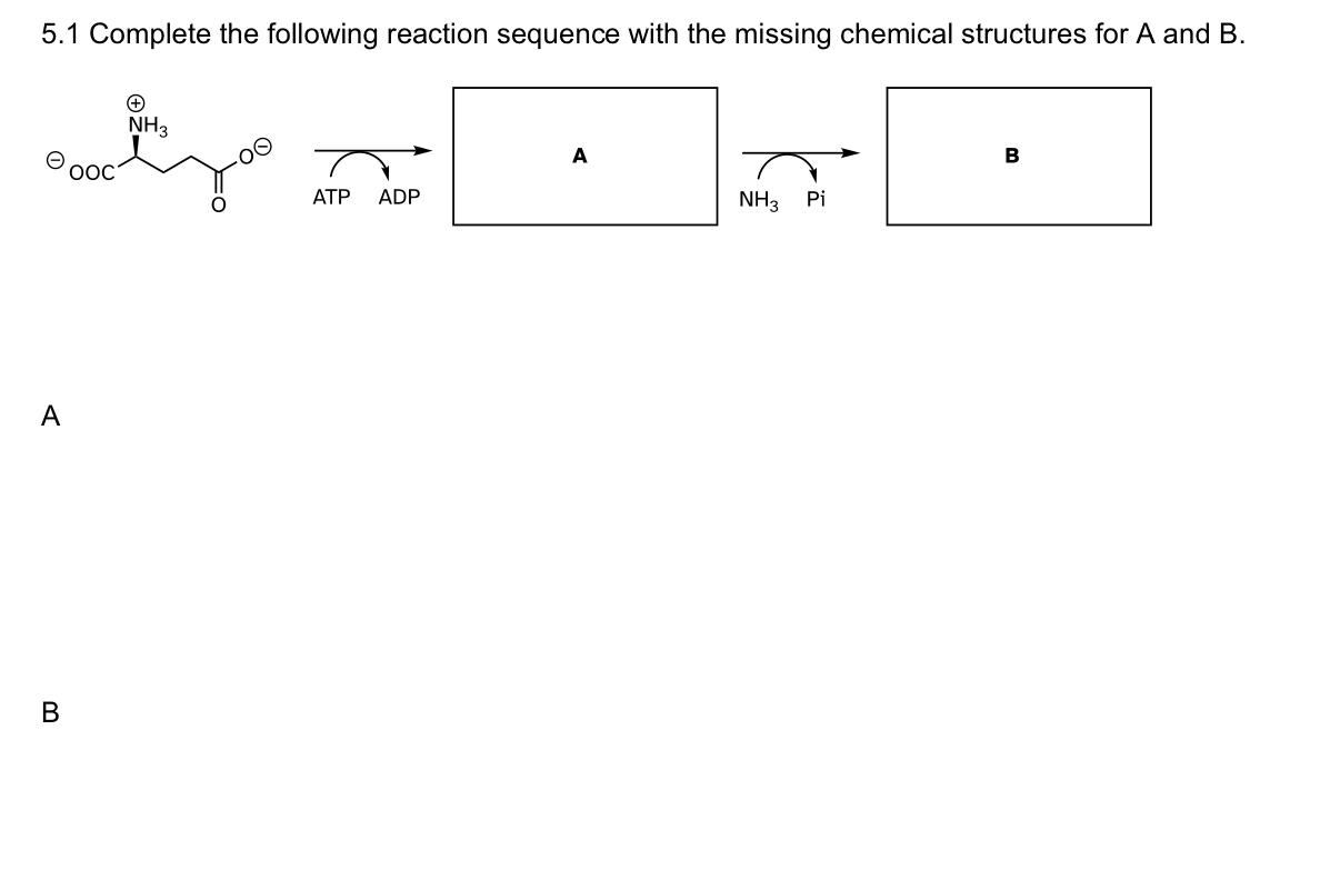 Solved 5.1 ﻿Complete the following reaction sequence with | Chegg.com