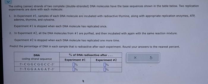 Solved The coding (sense) strands of two complete | Chegg.com