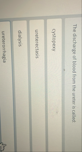 Solved The discharge of blood from the ureter is | Chegg.com