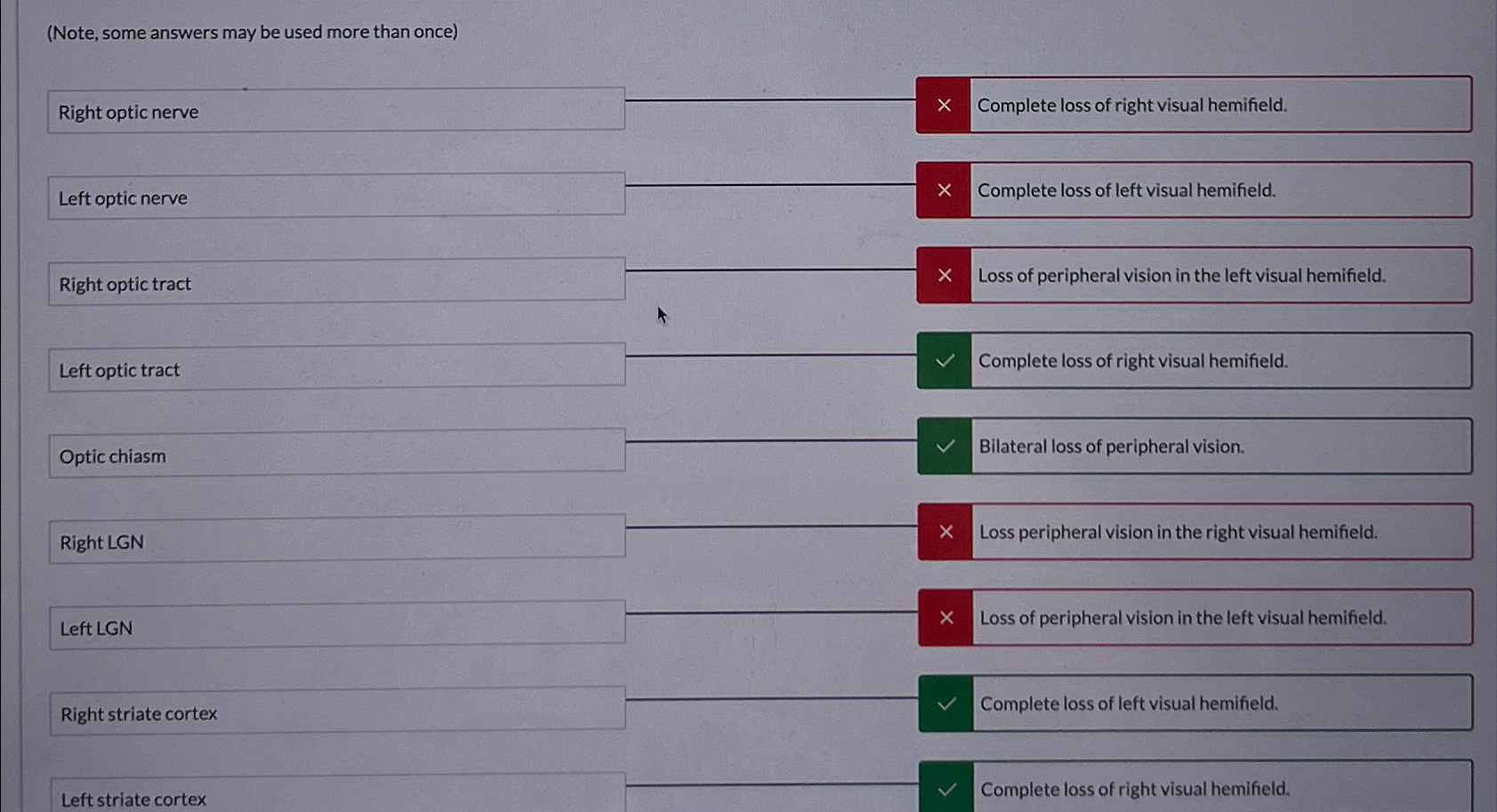 Solved Match the visual deficit with each damaged area | Chegg.com