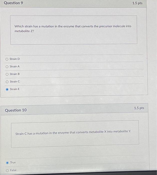 Solved can you please check my answers especially to | Chegg.com