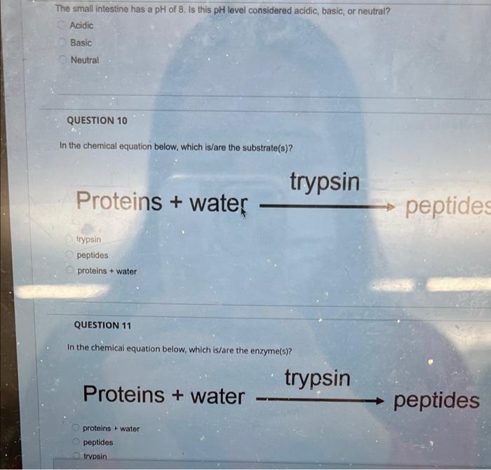 Solved The small intestine has a pH of 8. Is this pH level | Chegg.com