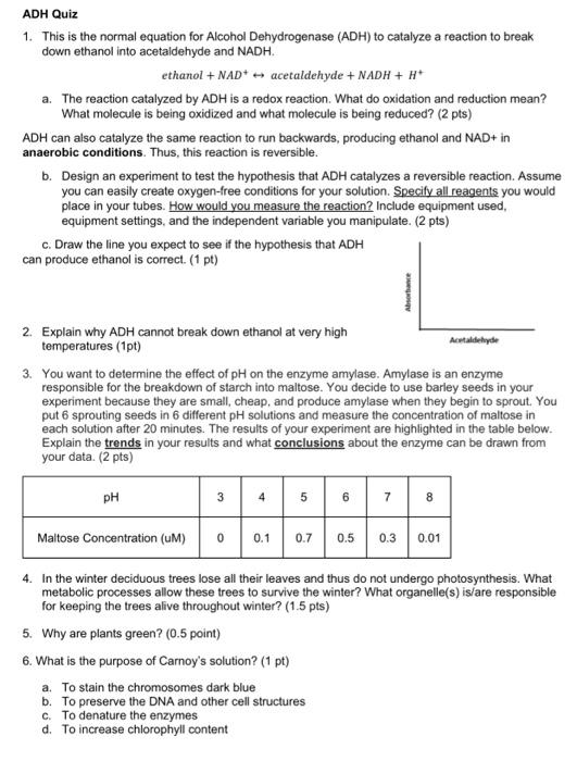 Solved ADH Quiz 1. This is the normal equation for Alcohol | Chegg.com