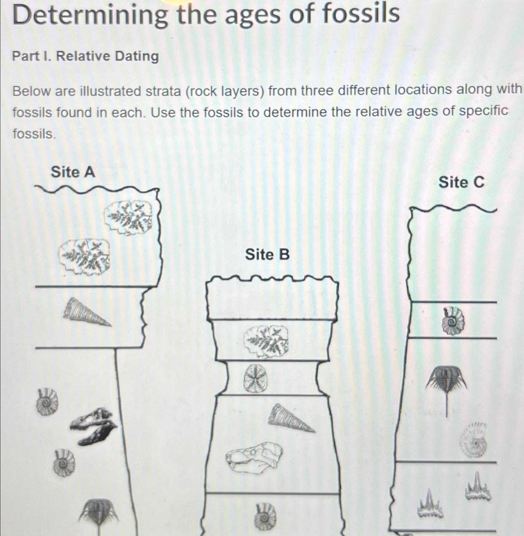 Solved Determining the ages of fossilsPart I. Relative | Chegg.com