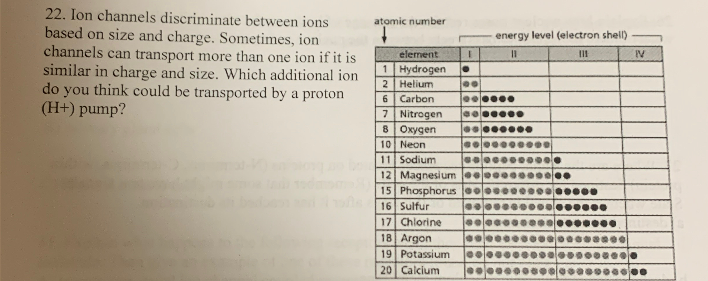 Solved Ion channels discriminate between ions based on size | Chegg.com
