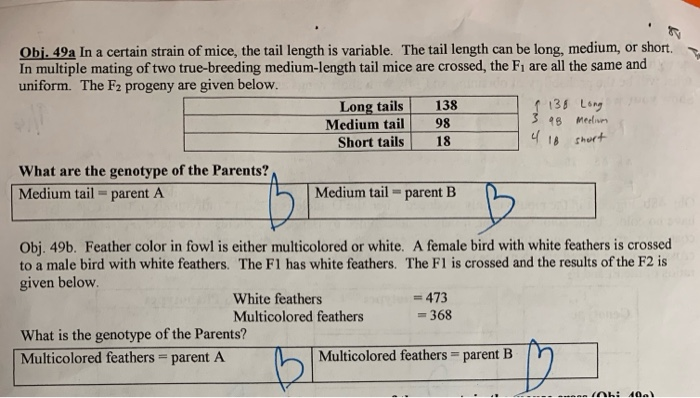 Solved Obj. 49a In a certain strain of mice, the tail length | Chegg.com