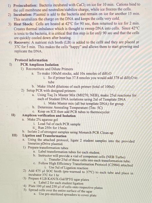 Solved Genetics Lab: Rapid Colony Transformation of E. coli | Chegg.com