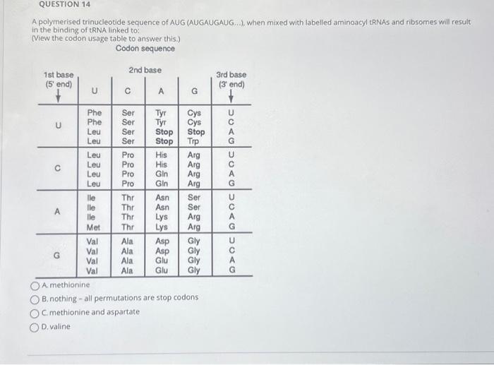 Solved QUESTION 14 A polymerised trinucleotide sequence of | Chegg.com