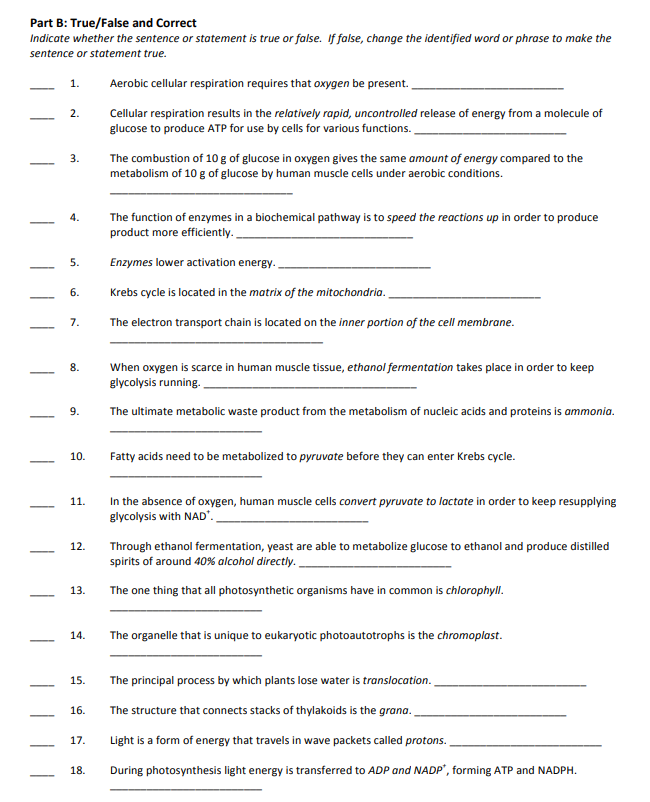 Solved Part B: True/False and CorrectIndicate whether the | Chegg.com