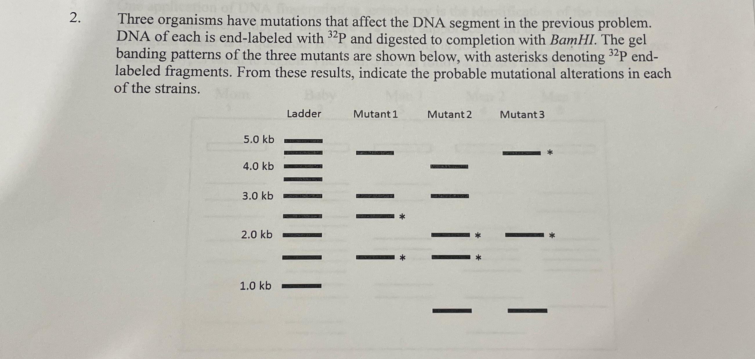 Solved Three organisms have mutations that affect the DNA | Chegg.com