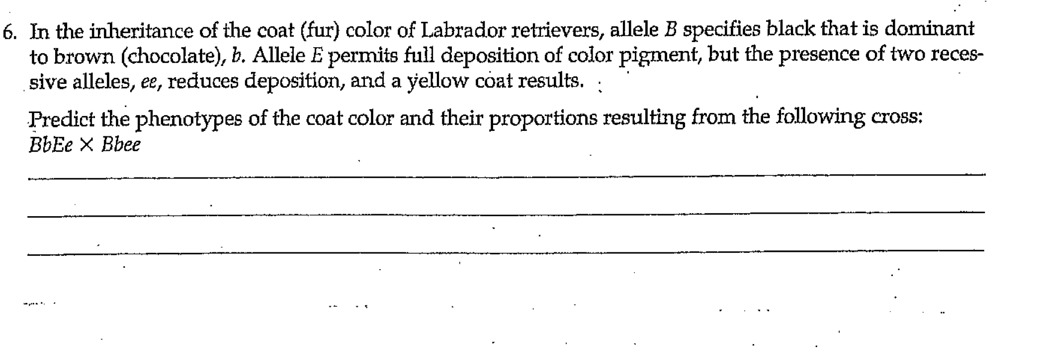 Solved 6. ﻿In the inheritance of the coat (fur) ﻿color of | Chegg.com