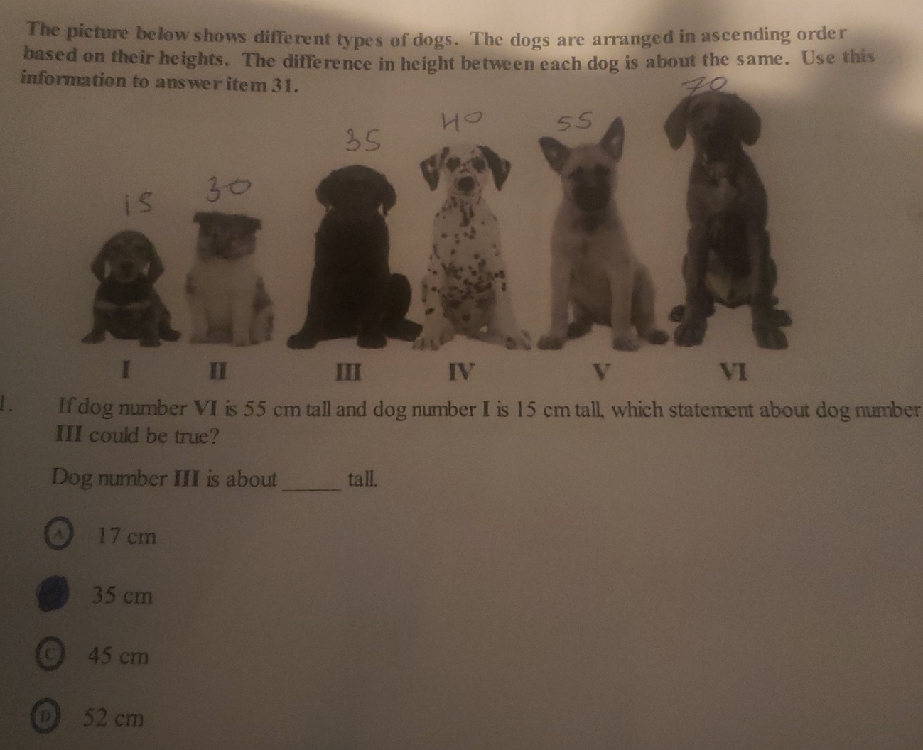 Solved The picture below shows different types of dogs. The | Chegg.com