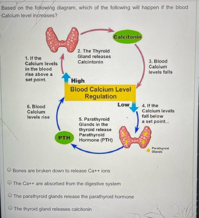 Based on the following diagram, which of the | Chegg.com