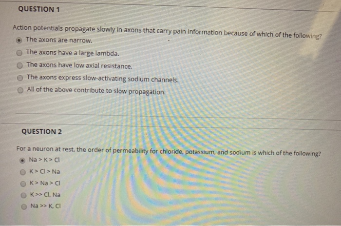 Solved QUESTION 1 Action potentials propagate slowly in | Chegg.com