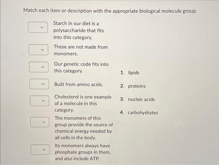 Solved Match each item or description with the appropriate | Chegg.com