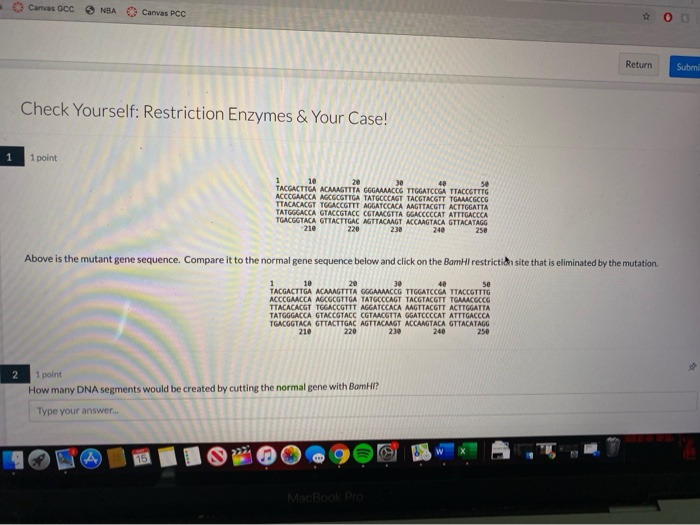 Solved Canvas occ S NBA Canvas PCC Return Subm Check | Chegg.com