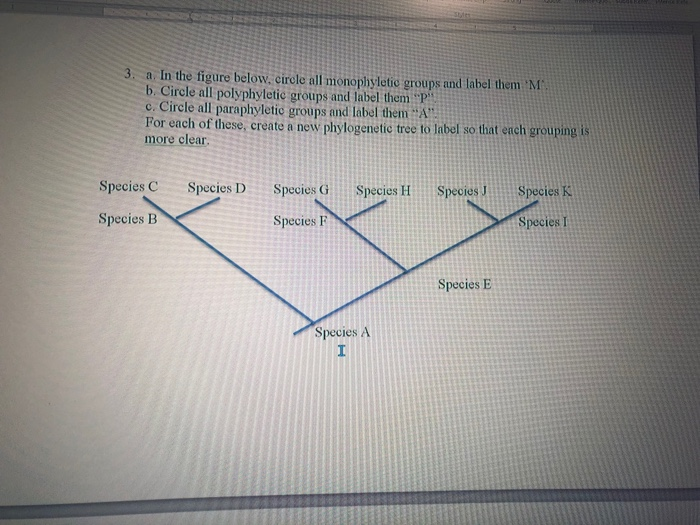 Solved 3. a In the figure below, circle all monophyletic | Chegg.com