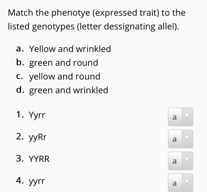 Solved Match the genotypes (the allele designated by | Chegg.com