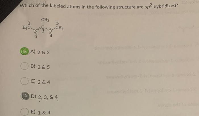 Solved Identify the correct IUPAC name for the following | Chegg.com