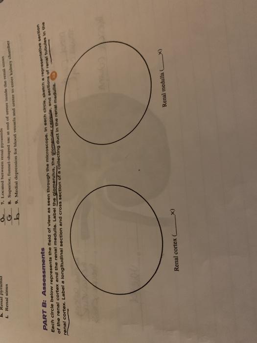 Solved PART D: Assessments Each circle below represents the | Chegg.com