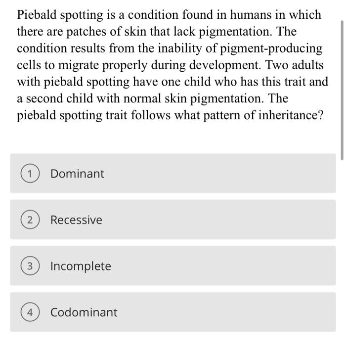 Solved Piebald spotting is a condition found in humans in | Chegg.com