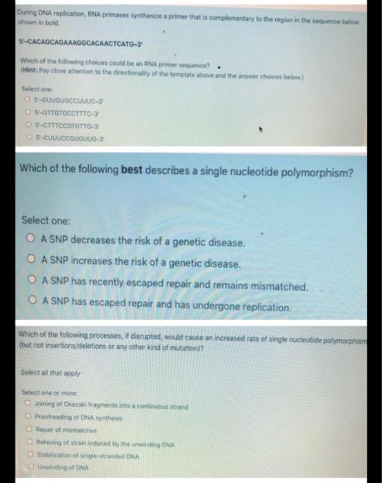 Solved During DNA replication, RNA primases synthesize a | Chegg.com