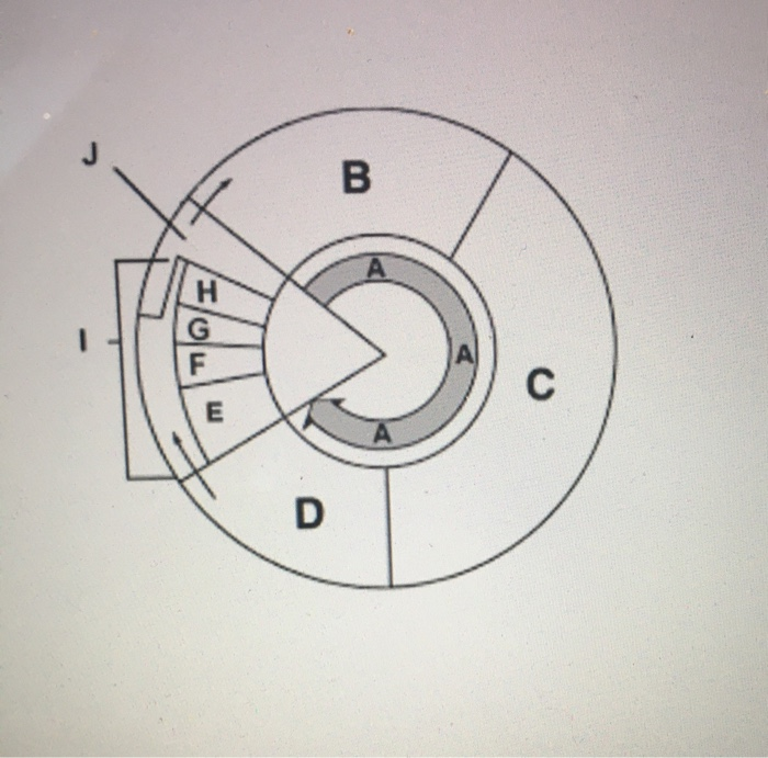 Solved this is a diagram of the cell cycle. if 2n=8, | Chegg.com