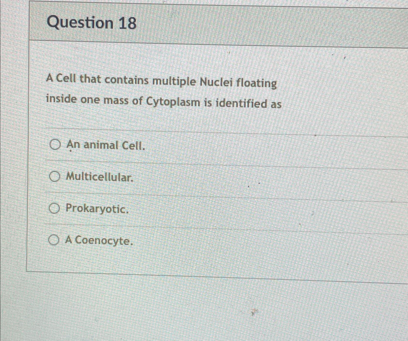 Solved Question 18A Cell that contains multiple Nuclei | Chegg.com