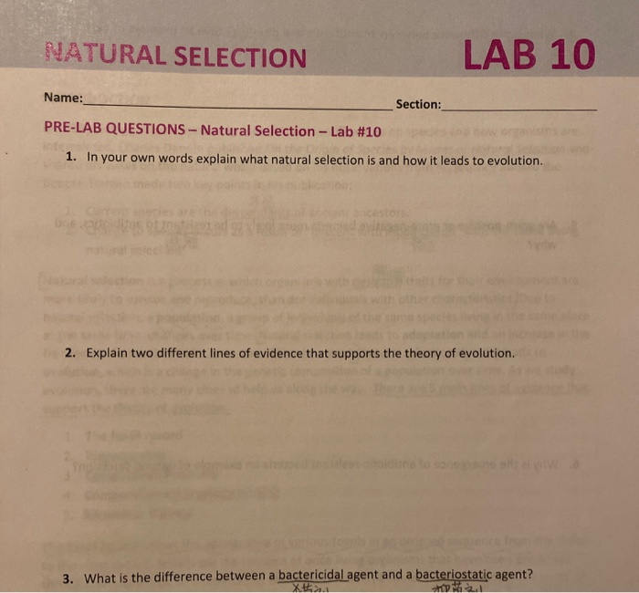 Solved NATURAL SELECTION LAB 10 Name: Section: PRE-LAB | Chegg.com
