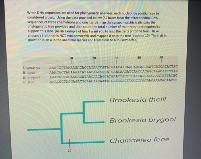 Solved animal bio phylogeny- Please draw out the tree with | Chegg.com