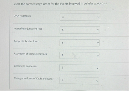 Solved Select the correct stage-order for the events | Chegg.com