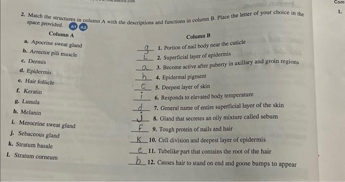 Solved 2. Match the structures in column A with the | Chegg.com