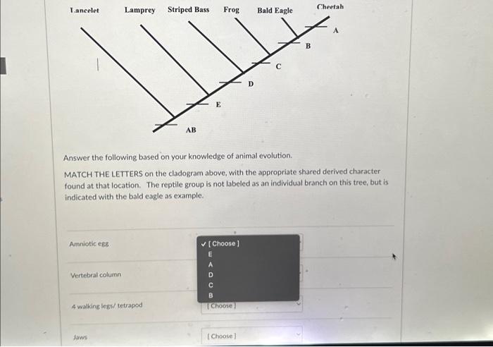 Solved Answer the following based on your knowledge of | Chegg.com