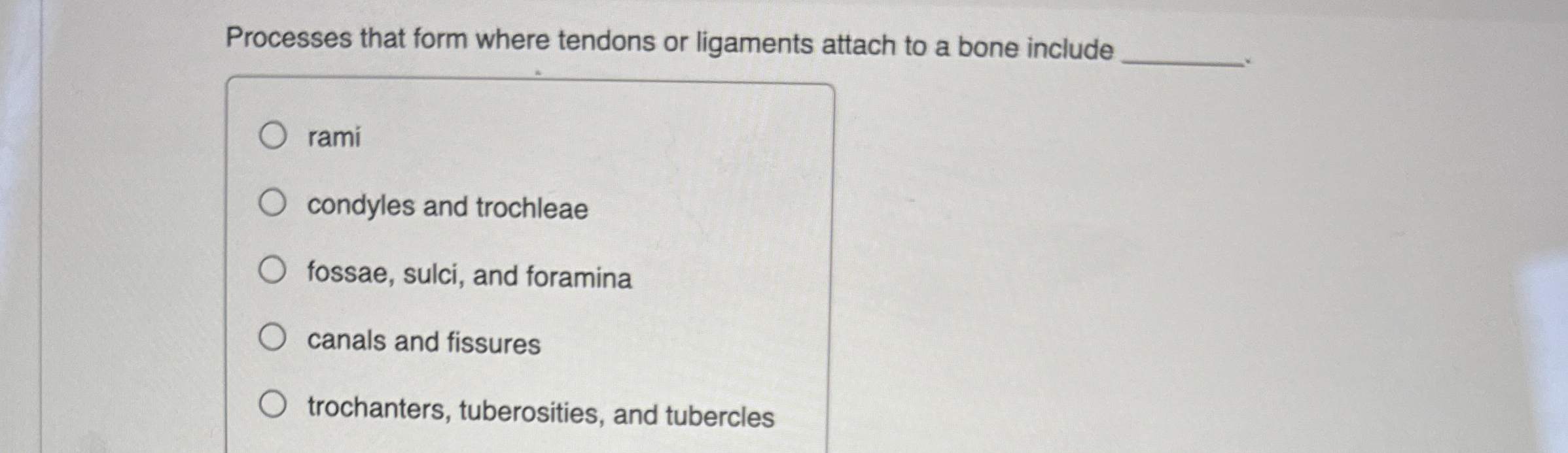 Solved Processes that form where tendons or ligaments attach | Chegg.com