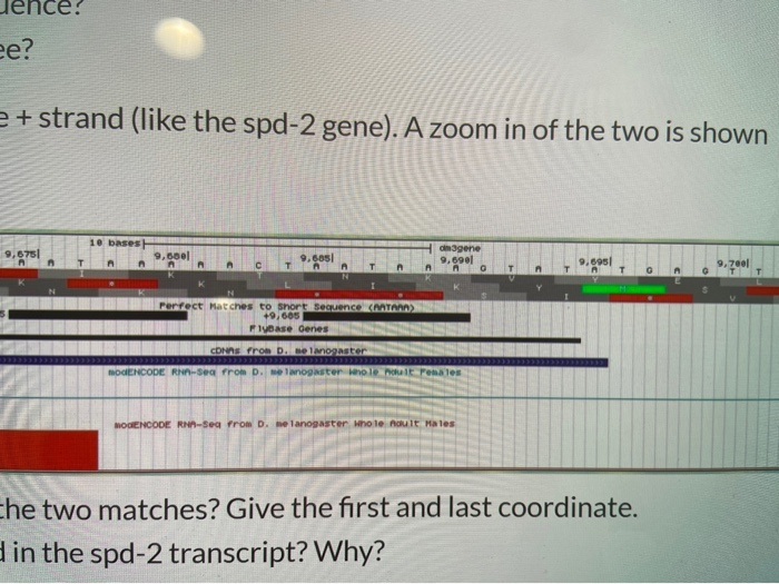 sequence AATAAA. a) What is the name of that | Chegg.com