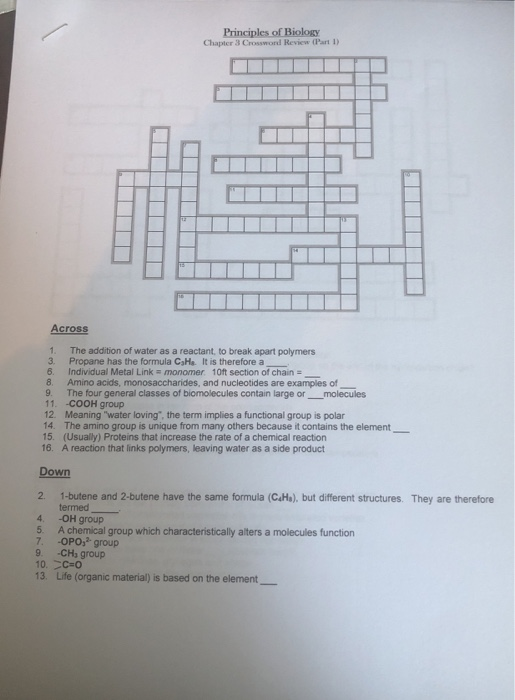 Solved Principles of Biology Chapter 8 Crossword Review | Chegg.com