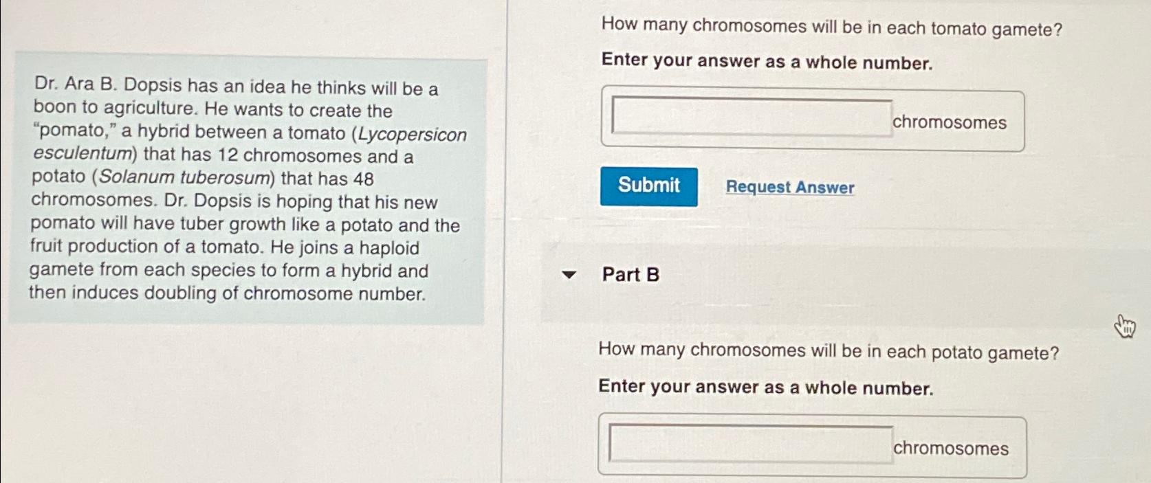 Solved How many chromosomes will be in each tomato | Chegg.com