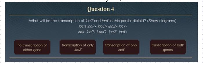 Solved Question 4 What will be the transcription of lacZ and | Chegg.com