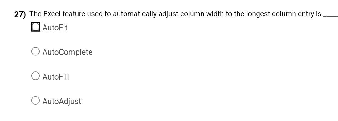 Solved The Excel feature used to automatically adjust column | Chegg.com