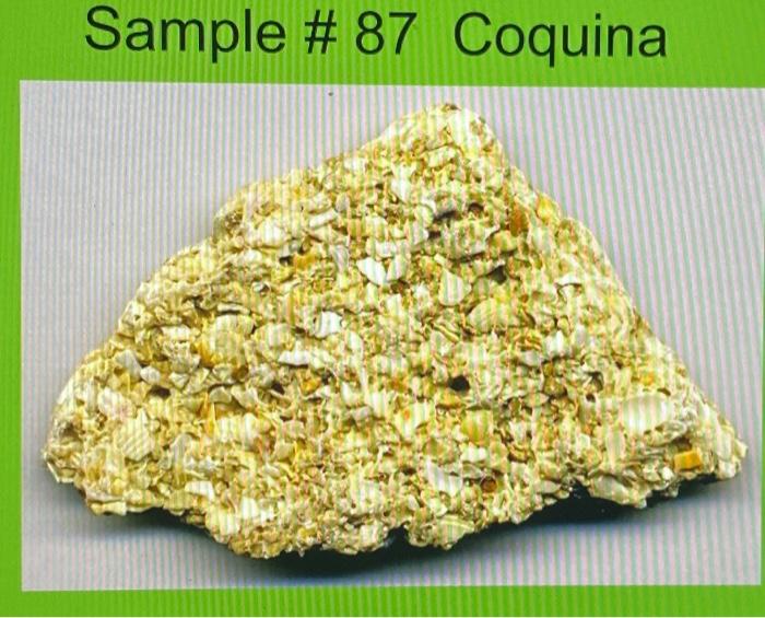 Solved Step 3: Use the igneous rock identification key in | Chegg.com