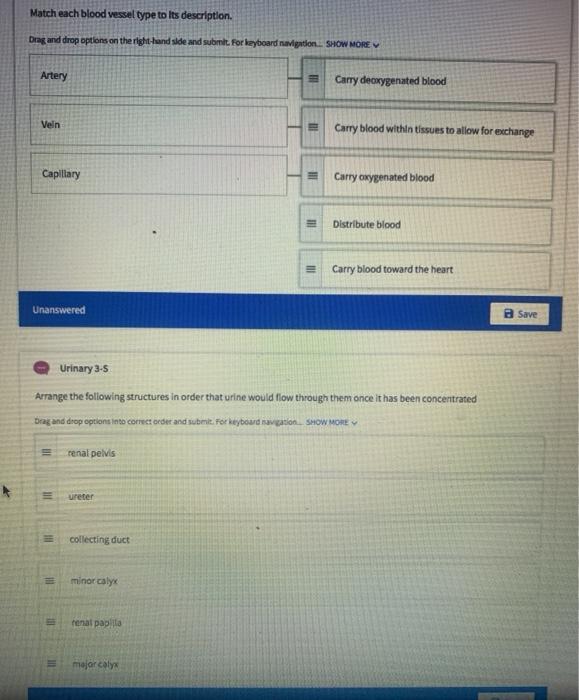 Solved Match each blood vessel type to its description. Drag | Chegg.com